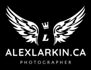 21 Best Wedding Photographers in Toronto and GTA Ontario (2025)